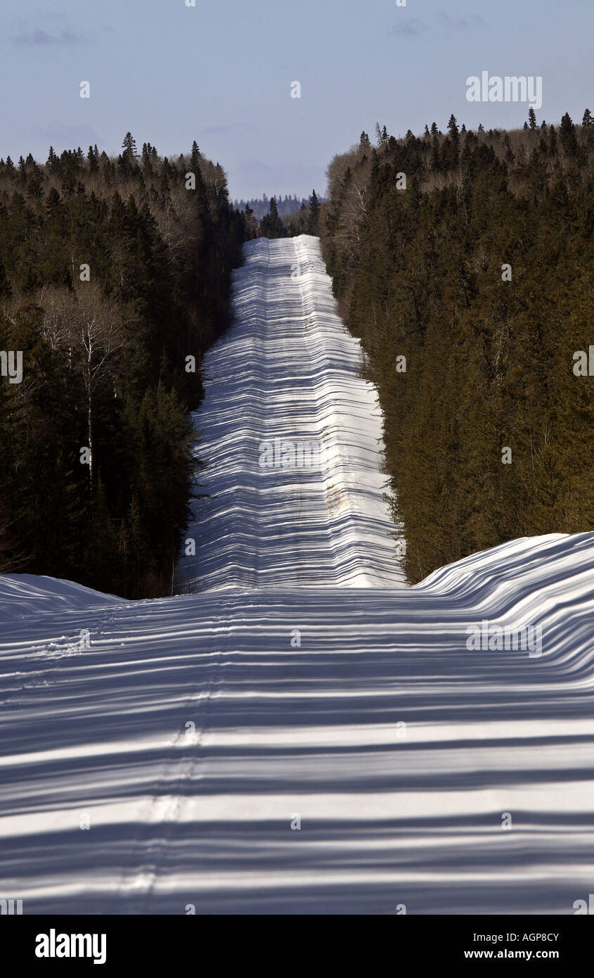 Logging road in winter Stock Photo - Alamy