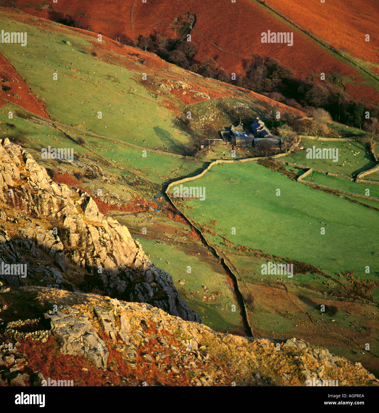 Lakeland farm; Bowderdale Farm seen from Middle Fell, above Wastwater ...
