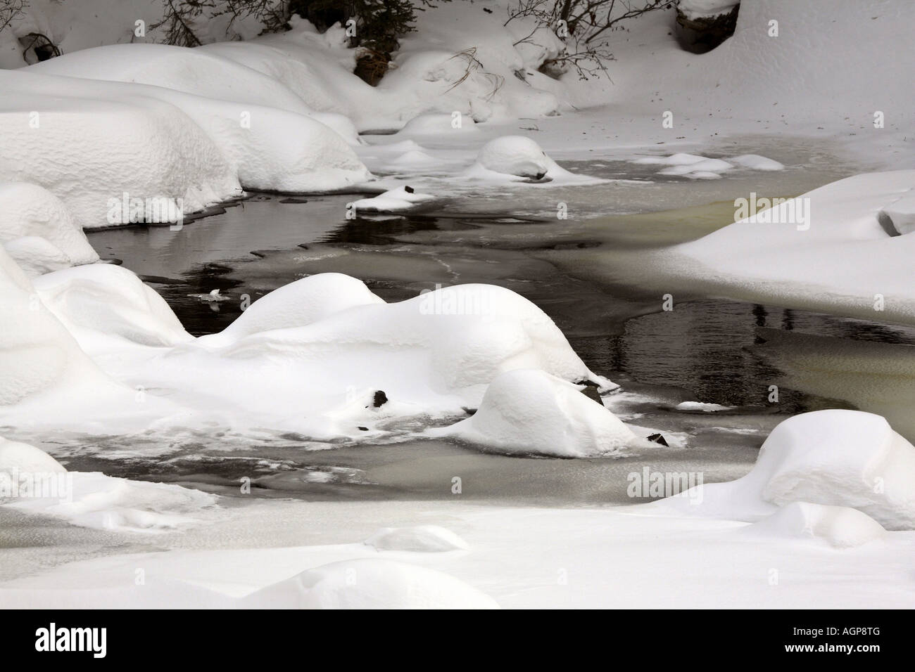 Saskatchewan creek during spring thaw Stock Photo - Alamy