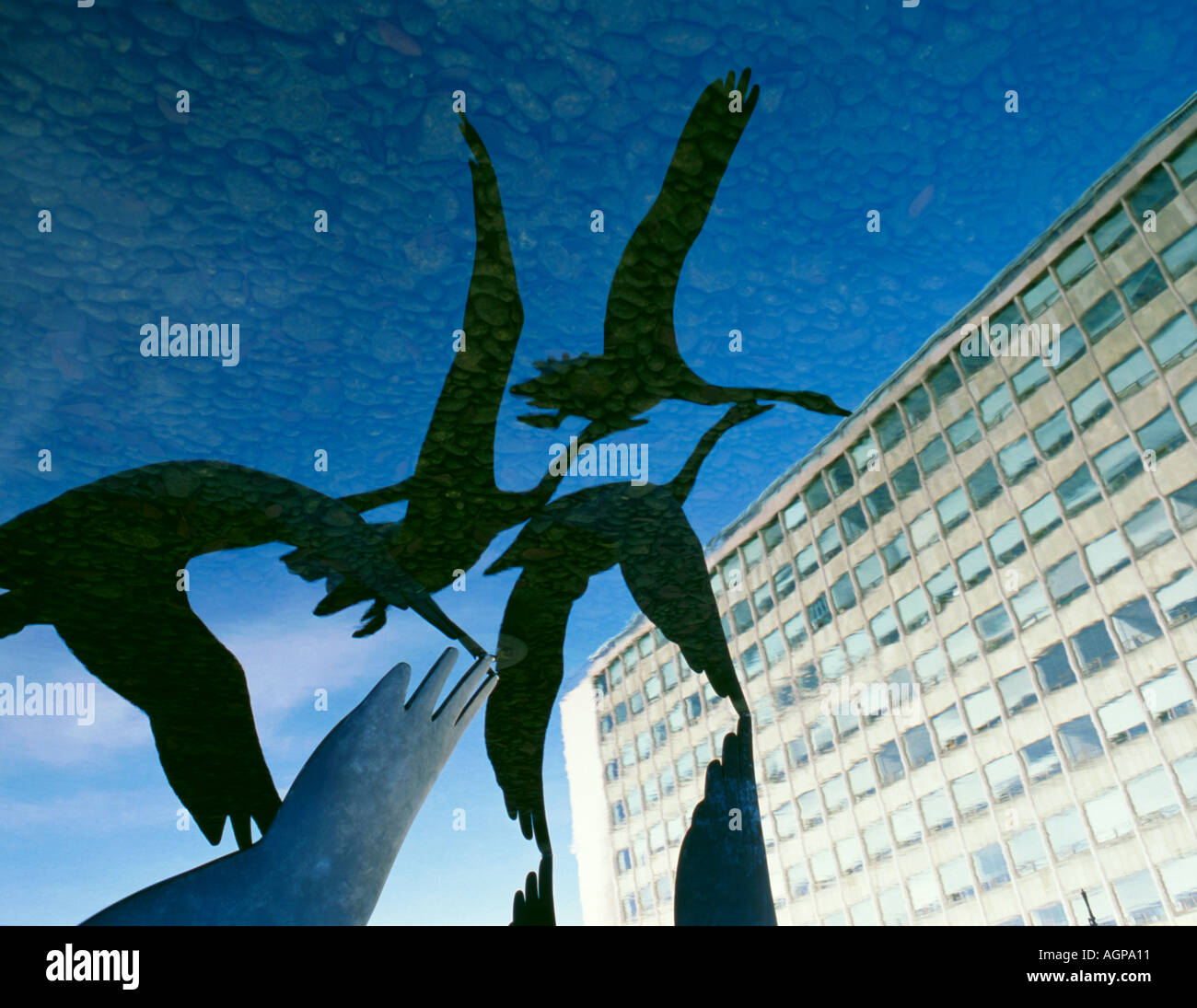 Reflection of a sculpture of swans taking off, Civic Centre, Newcastle ...