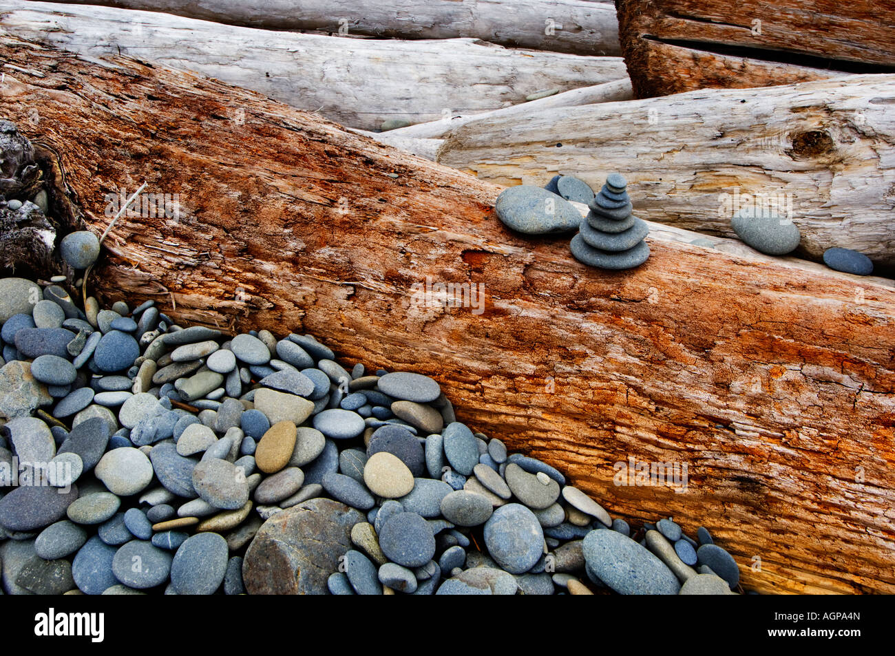 Smooth ocean rocks log hi-res stock photography and images - Alamy