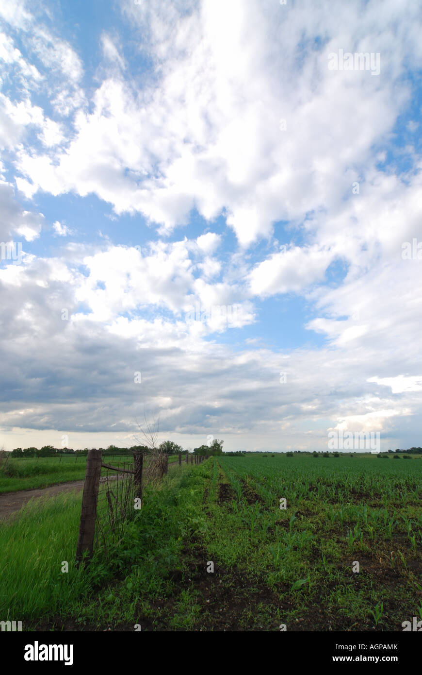 June field hi-res stock photography and images - Alamy