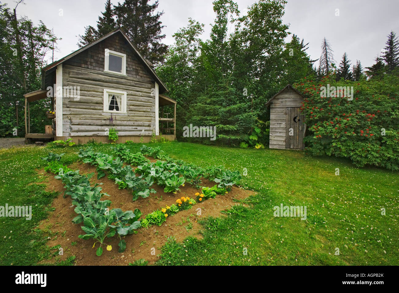 USA, Alaska, Homer. Alaska-Pratt Museum Homestead, including an ...