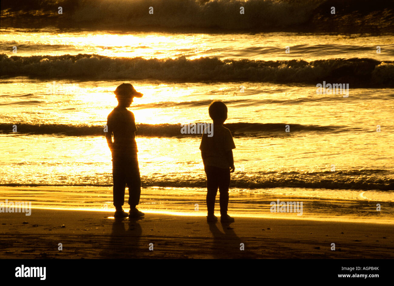 Sunny sunlight gazing staring hi-res stock photography and images - Alamy