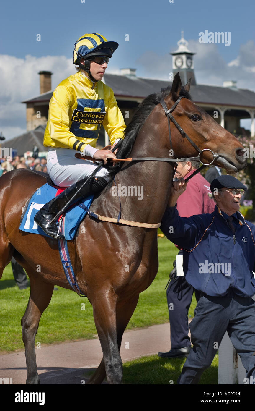 Being led parade ring in hi-res stock photography and images - Alamy