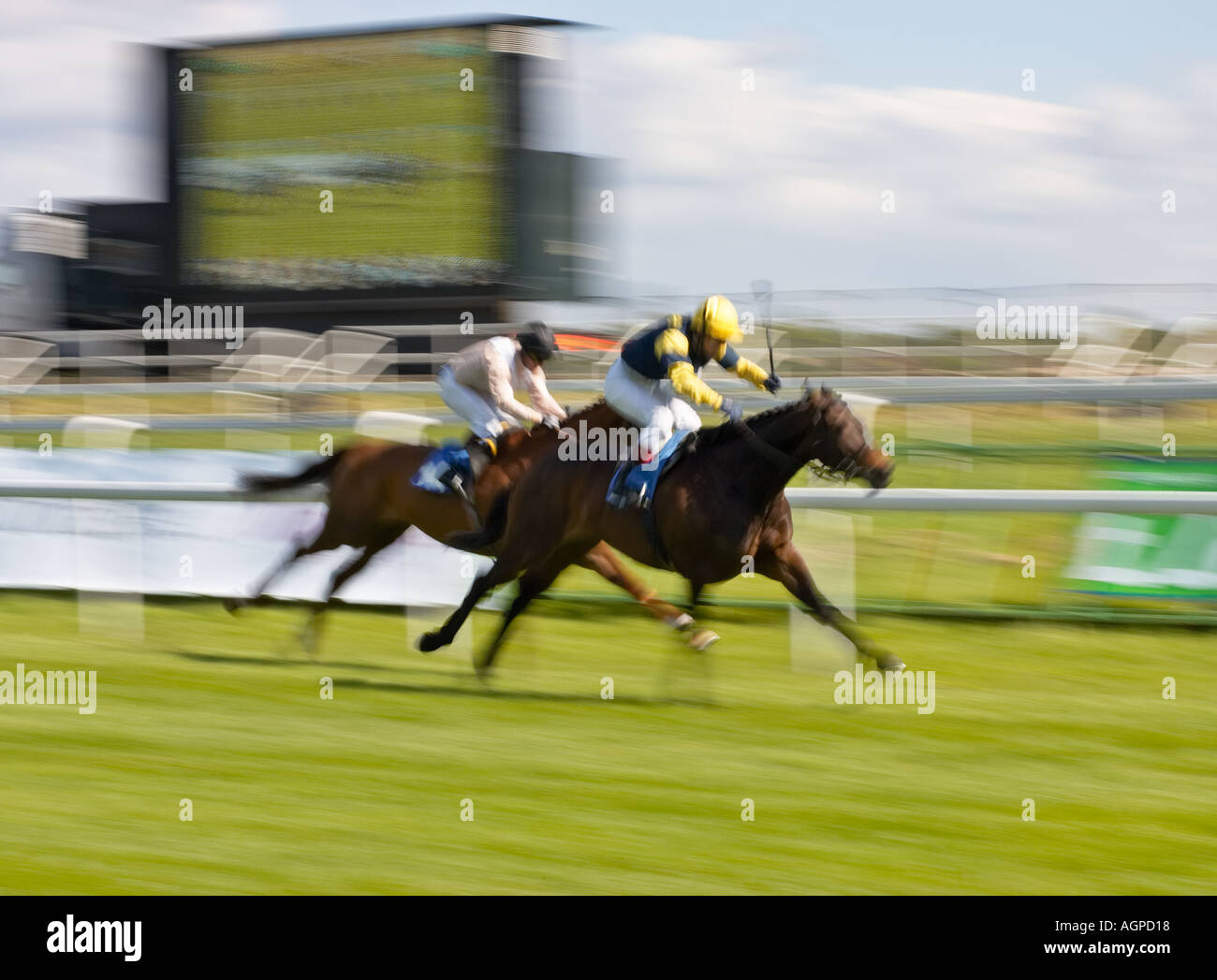 Horse racing - two horses in a race for the finishing post Stock Photo ...
