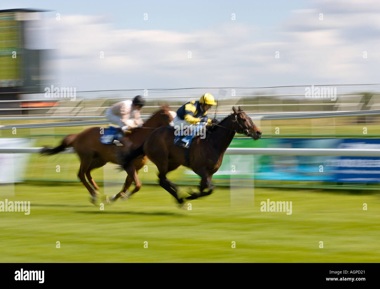 Horse racing in a race for the finishing post Stock Photo - Alamy