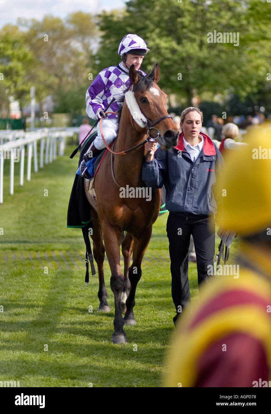 Owner of racehorse hi-res stock photography and images - Alamy