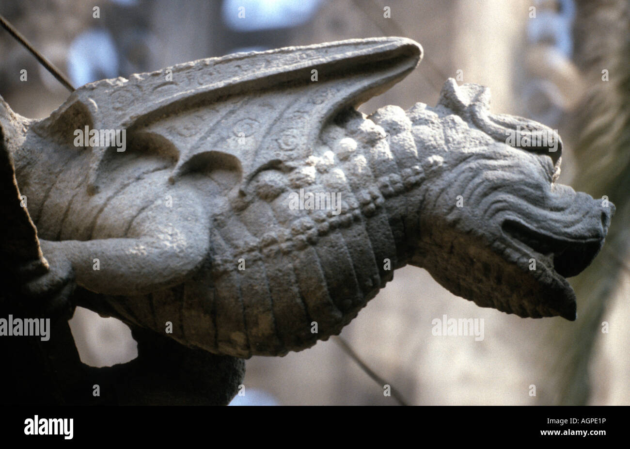 Gargoyle architecture grotesque medieval hi-res stock photography and ...