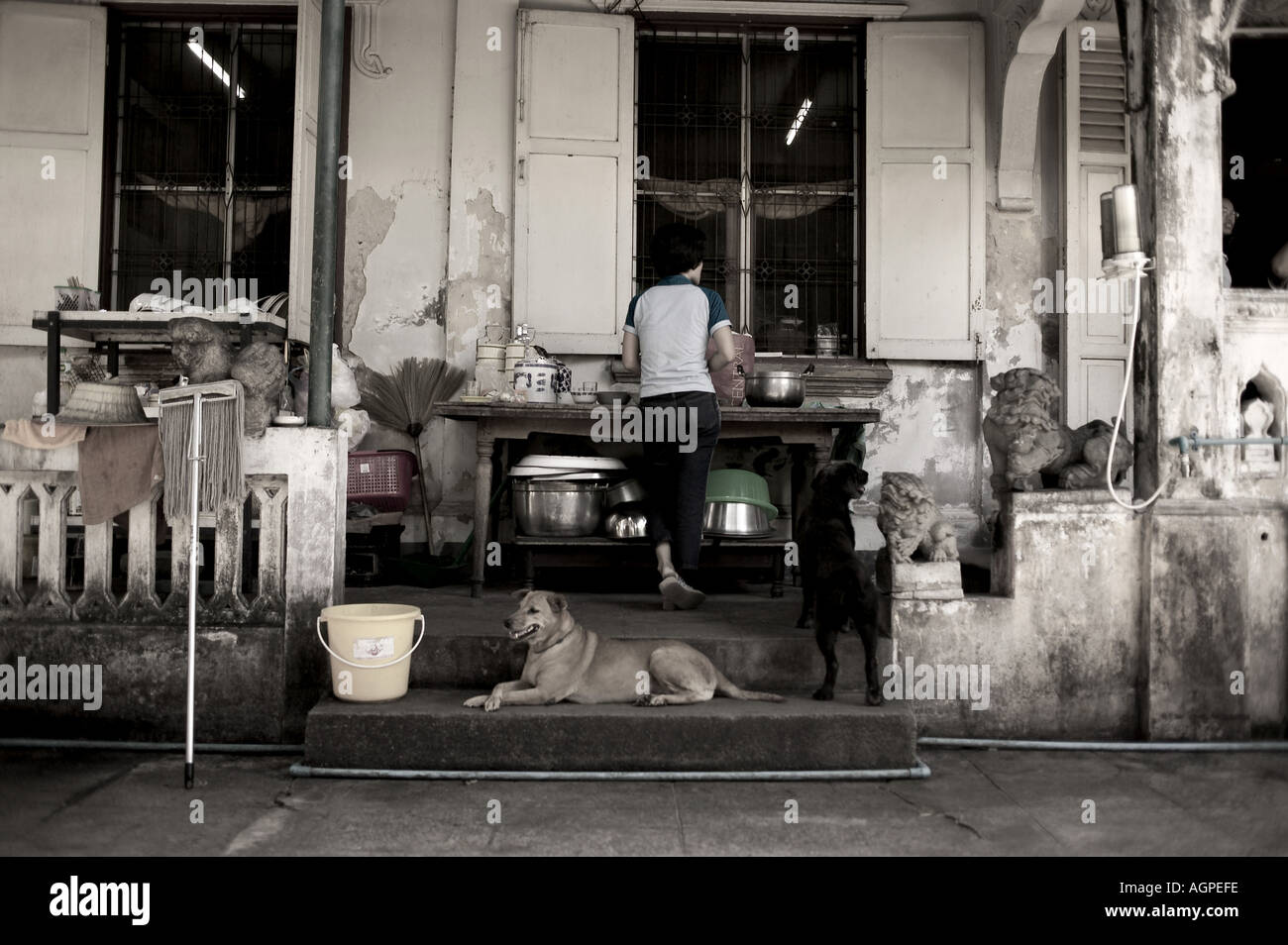 Asian boy washing dishes outside dog lying on steps Bangkok Stock Photo ...