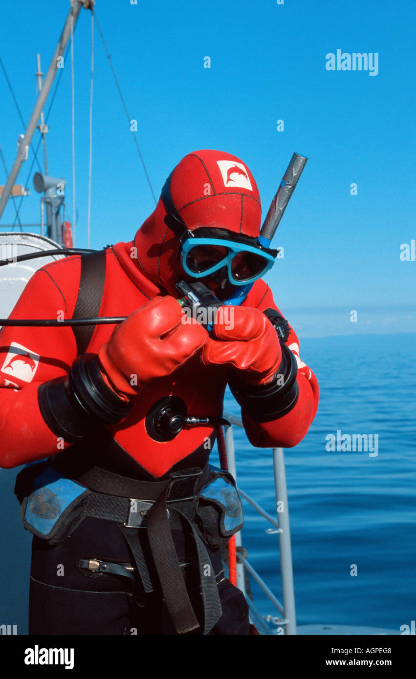 Baikal lake dive hi-res stock photography and images - Alamy