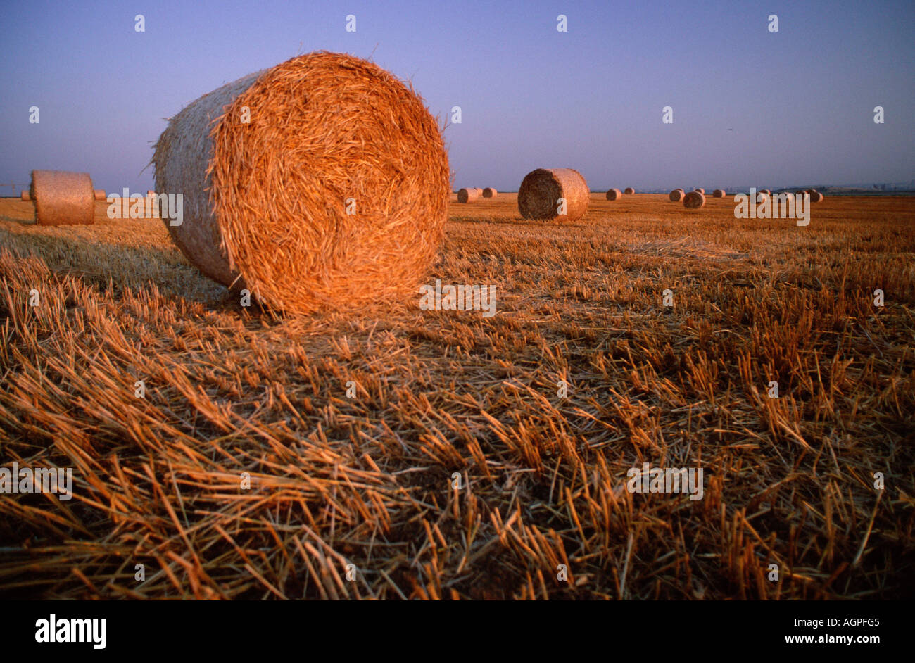 Straw man made of bales of straw hi-res stock photography and images ...