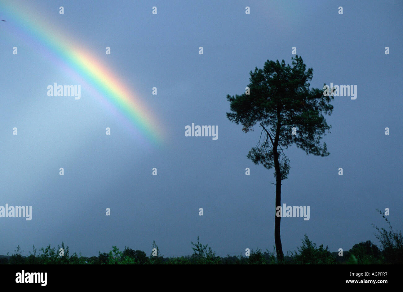 Rainbow / Regenbogen Stock Photo - Alamy