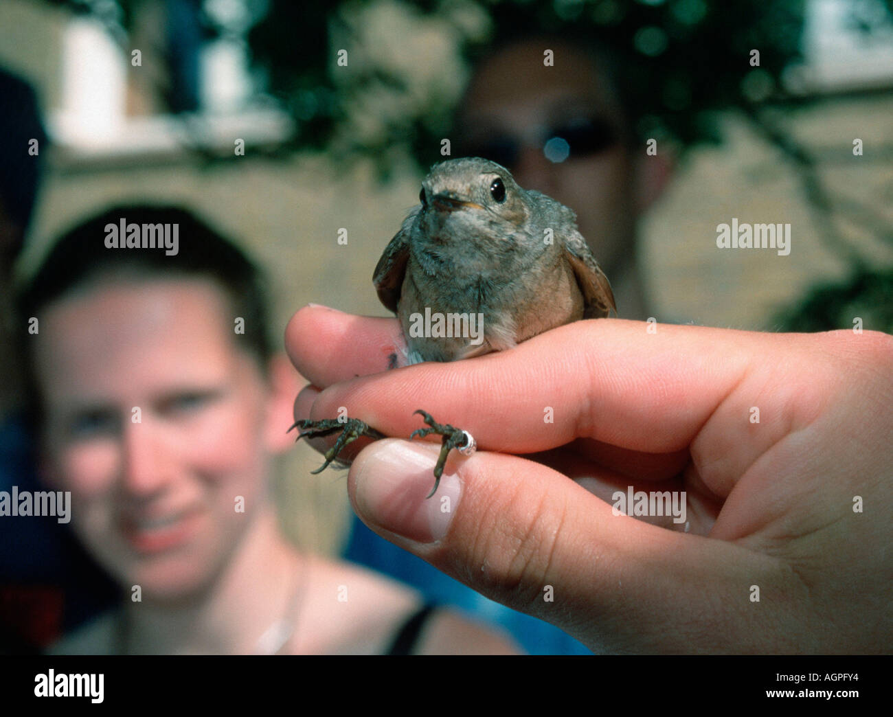 Birds in hand hi-res stock photography and images - Alamy