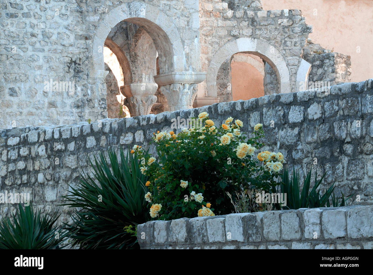 Ancient stone walls with roses in Rab town, Croatia Stock Photo - Alamy