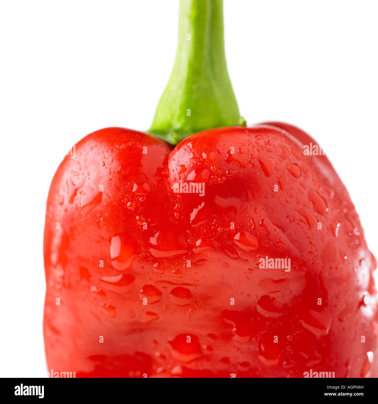 A fresh sweet pointed pepper covered in water droplets Stock Photo - Alamy