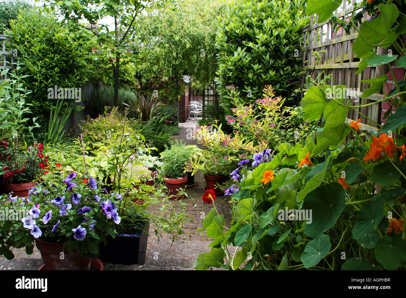 Small city garden in late spring / early summer Stock Photo - Alamy