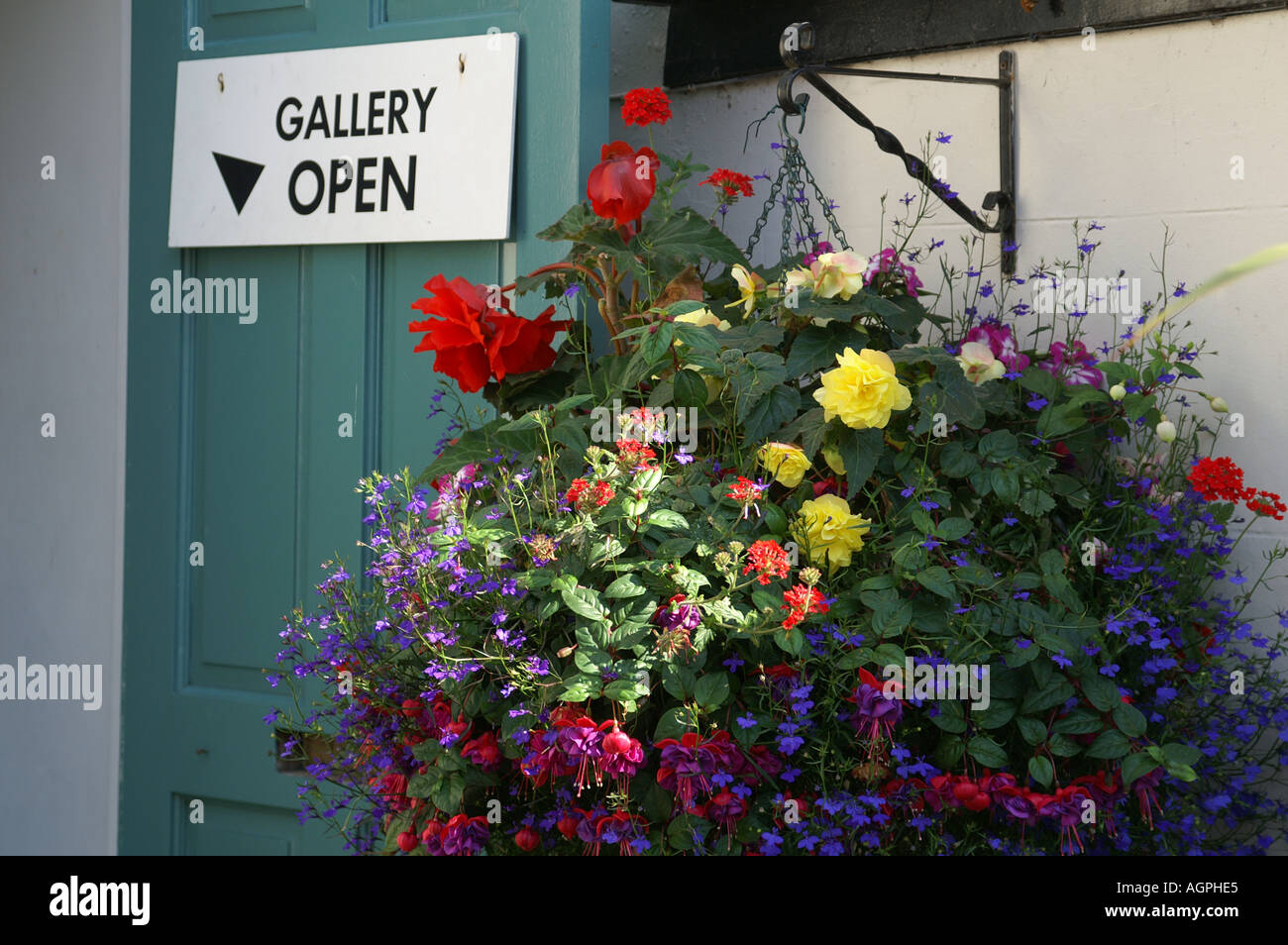 Flowers floral displays around the village of St Ives Cornwall Stock ...