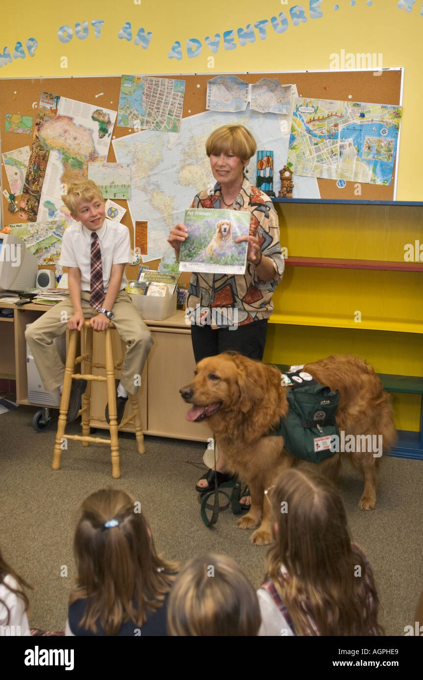 Woman Giving Demonstration With Service Dog At Elementary School New ...