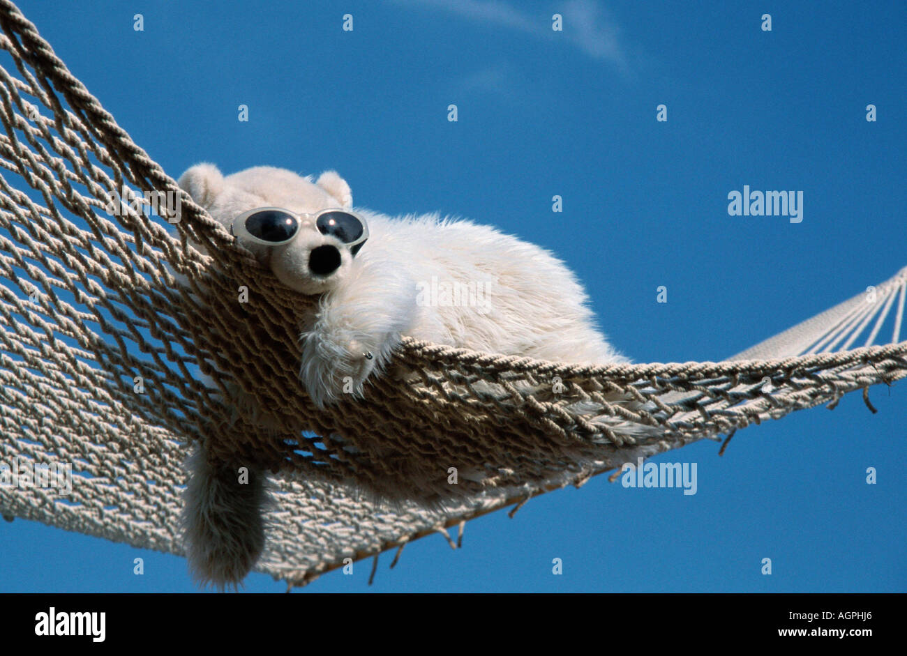 Rag pet in hammock Stock Photo - Alamy