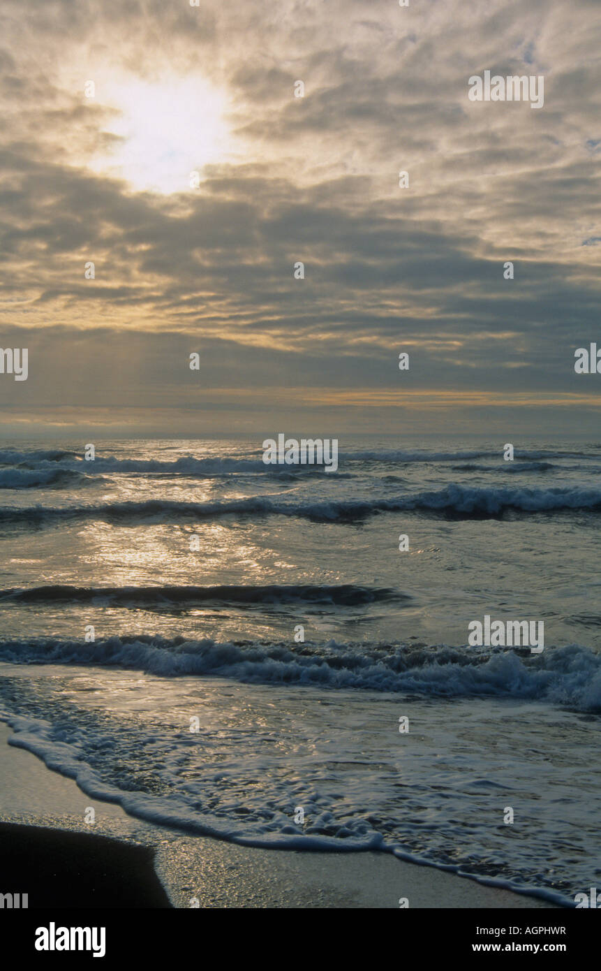 Afternoon at Manchester State Beach in northern California, USA Stock ...