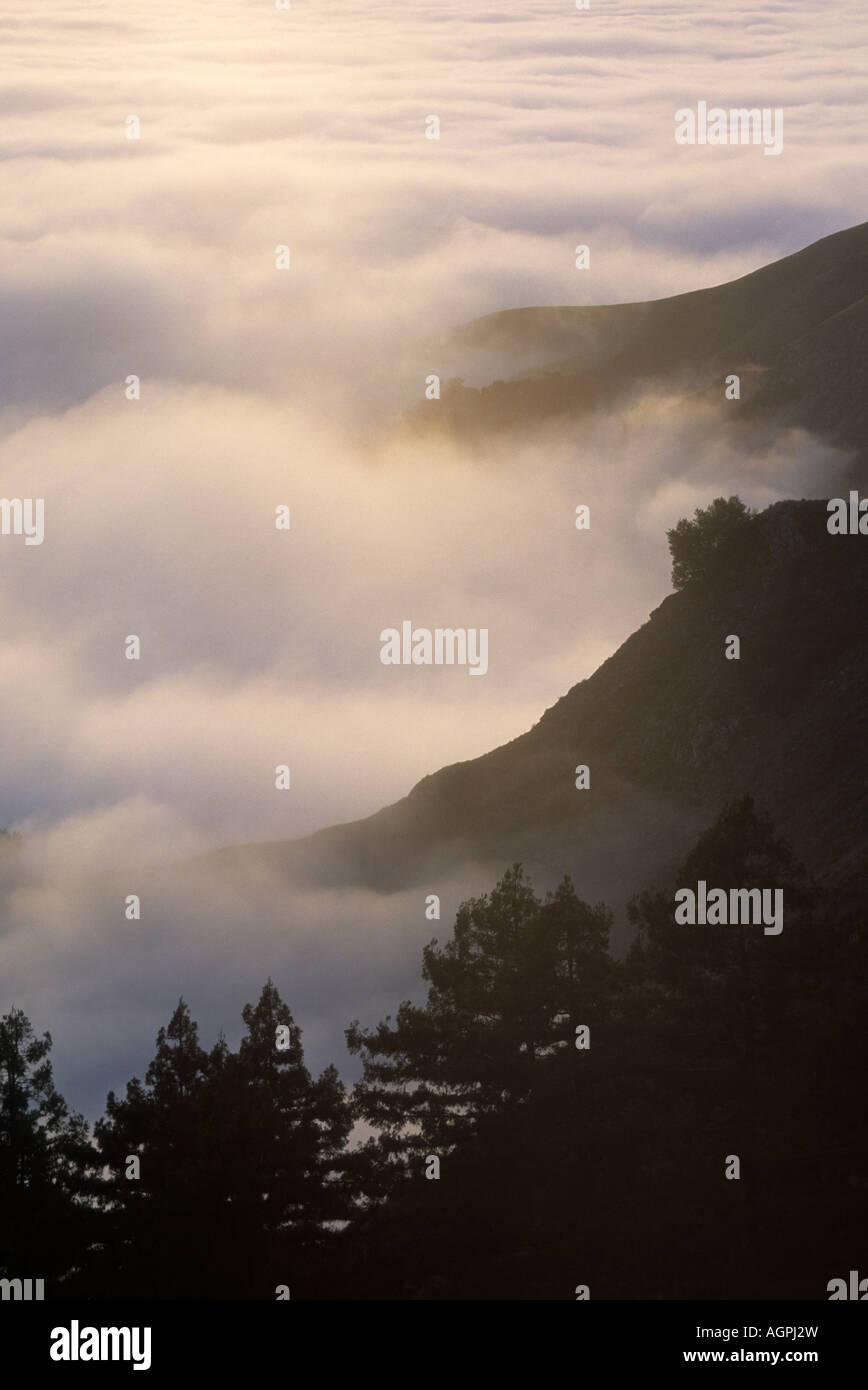 Luia hi-res stock photography and images - Alamy