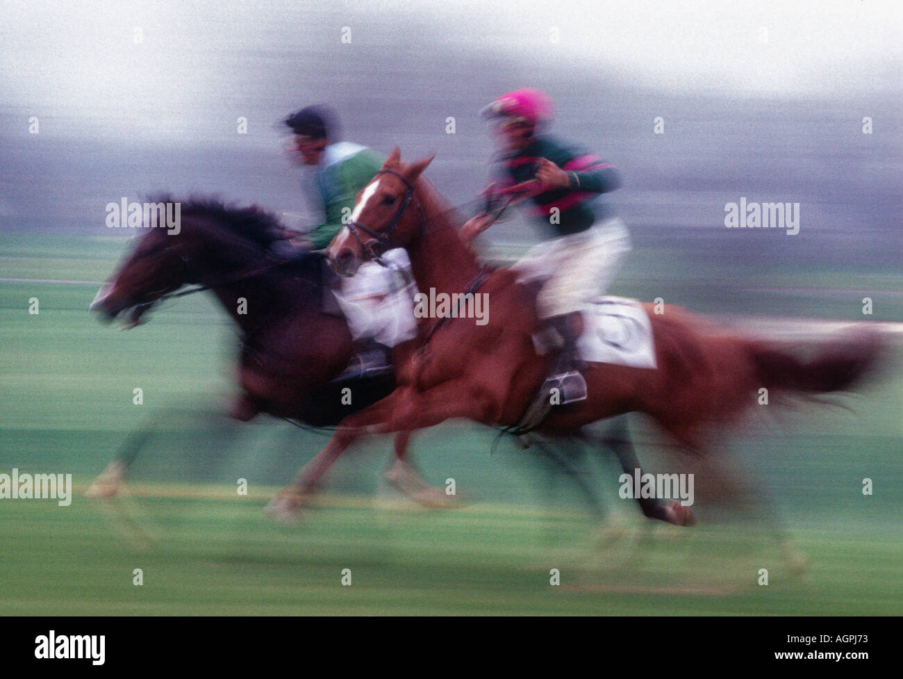 Kentucky thoroughbreds hi-res stock photography and images - Alamy
