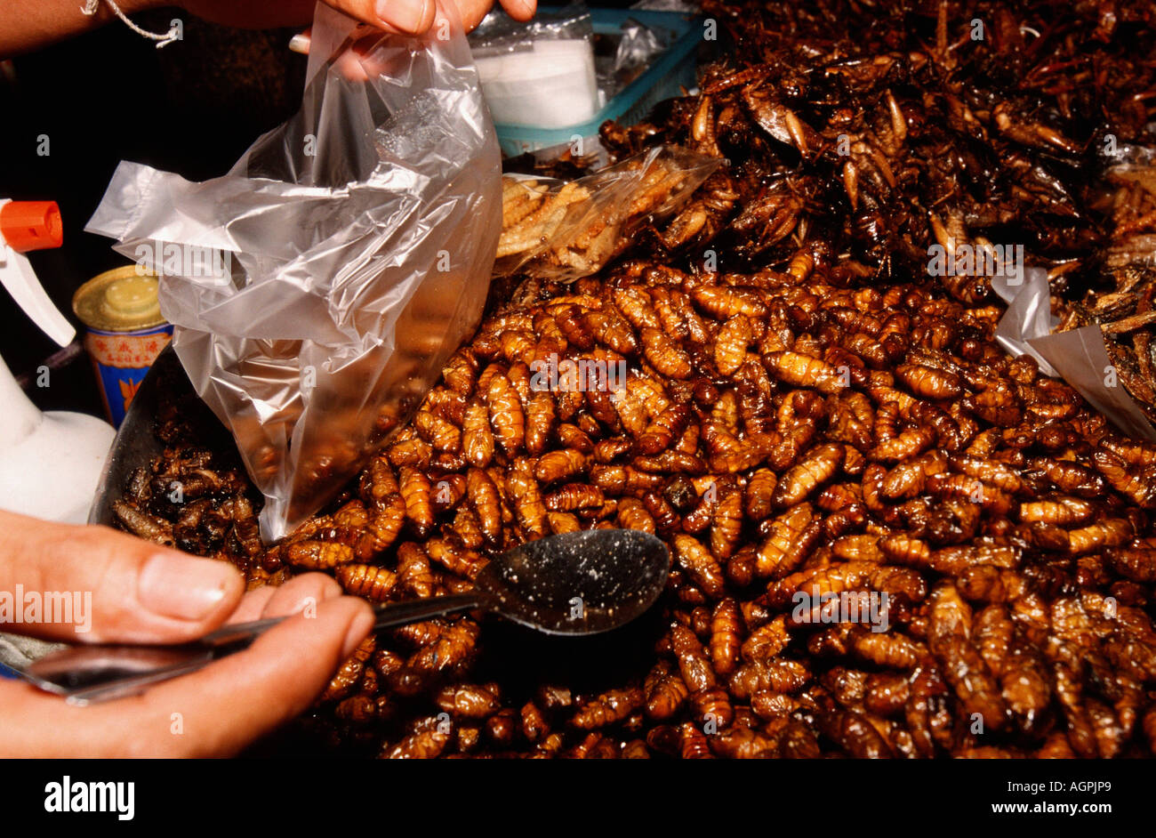 Roasted insects hi-res stock photography and images - Alamy