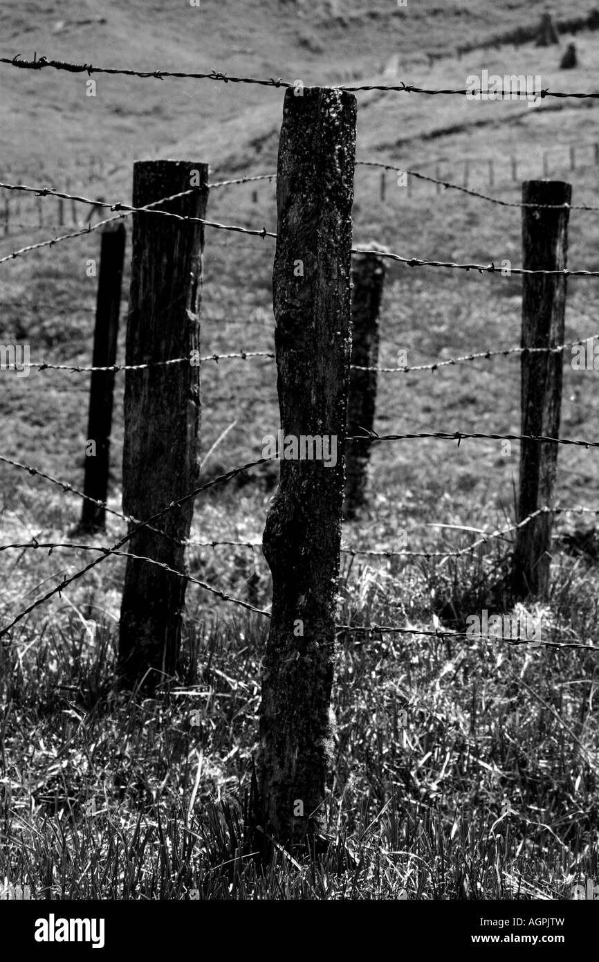 Rural rustic fences made of wire at Chiriqui Province Panama Stock ...