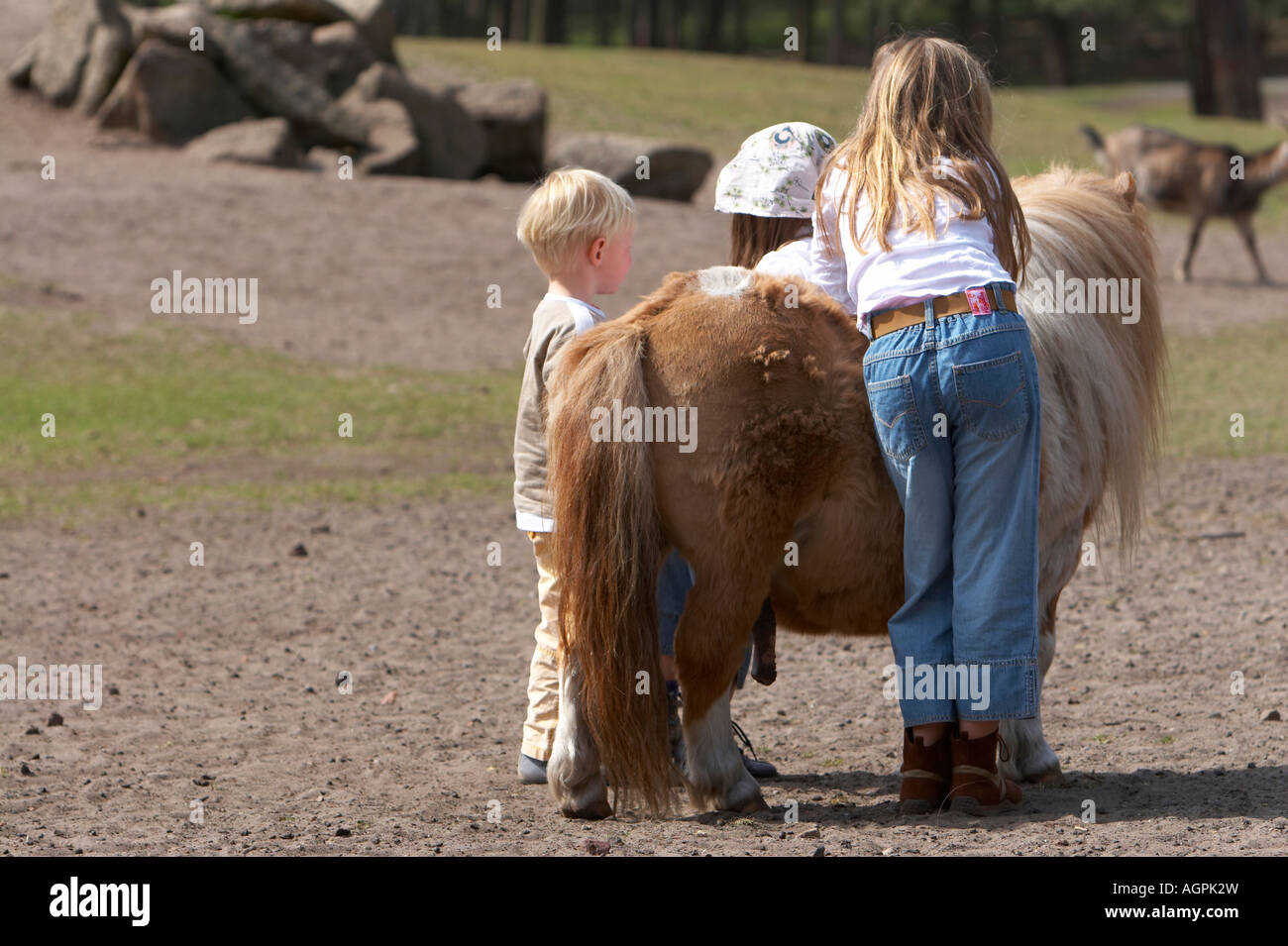 Children playing with pony Stock Photo - Alamy