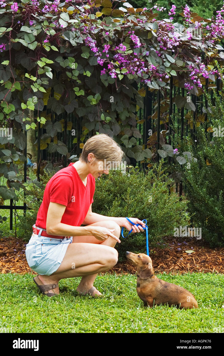 American kennel club training hi-res stock photography and images - Alamy
