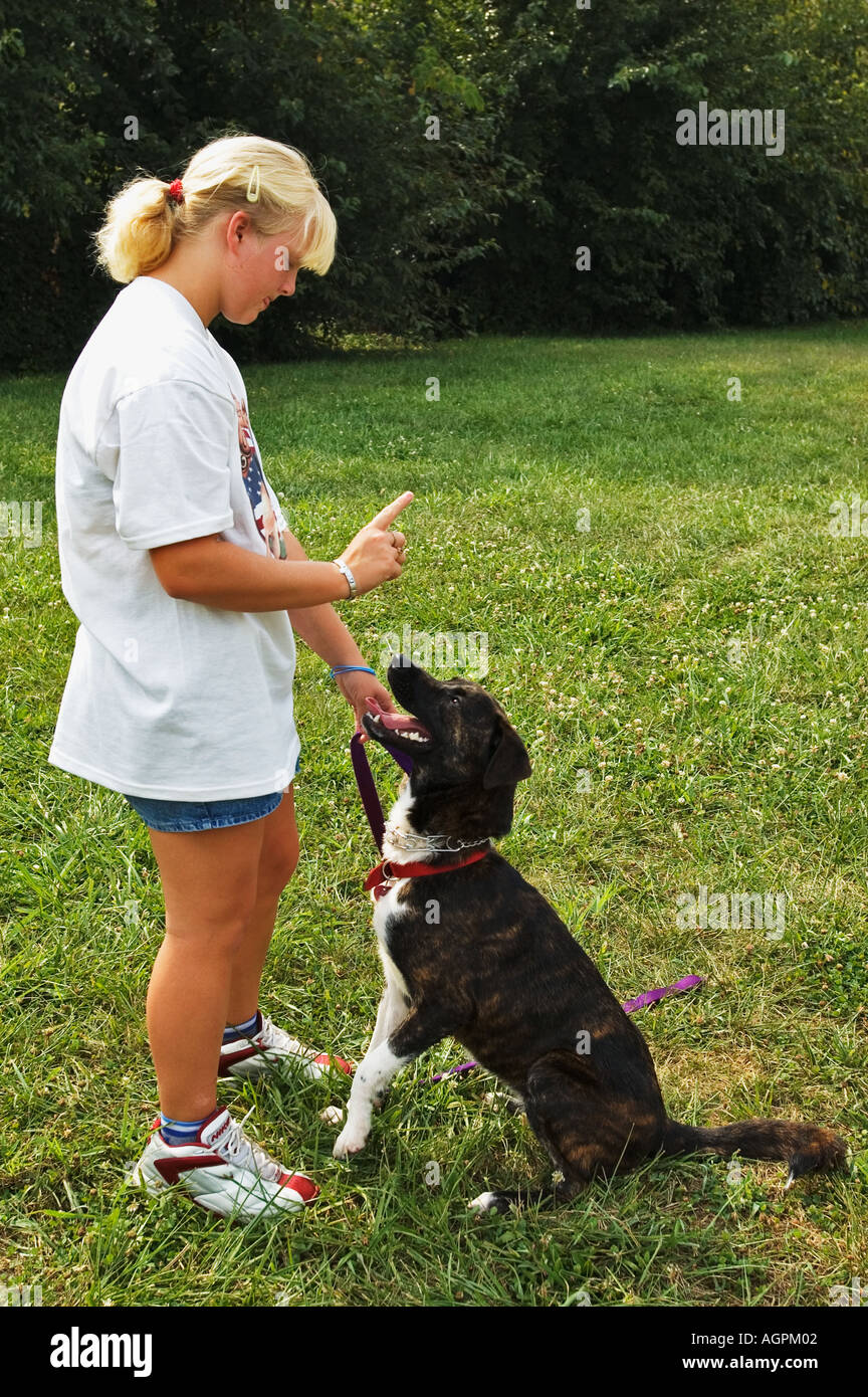 How To Train A Mixed Breed Dog