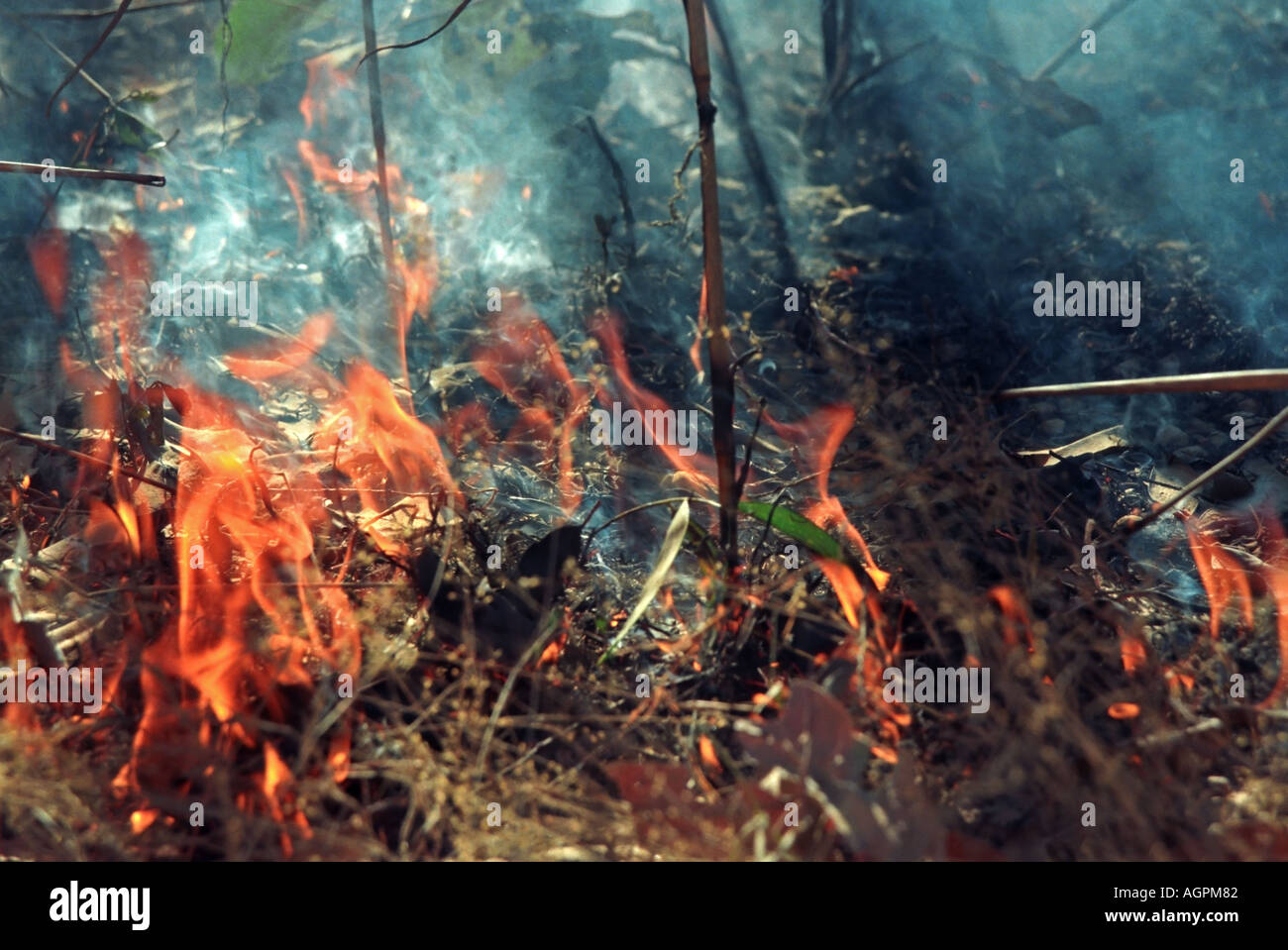 Bushfire Northern Territory Australia NT32 11 Stock Photo - Alamy