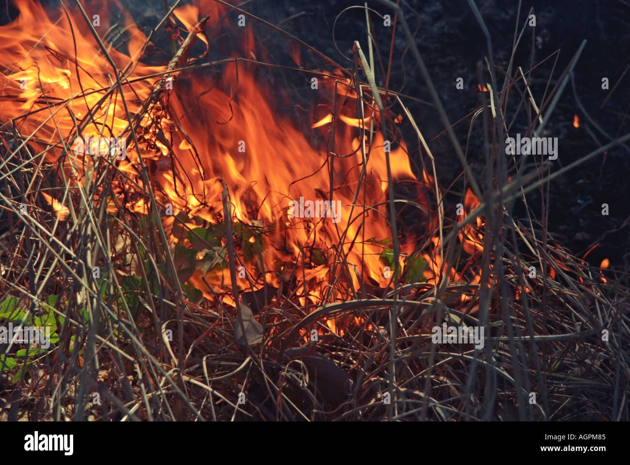 Bushfire northern territory australia hi-res stock photography and ...