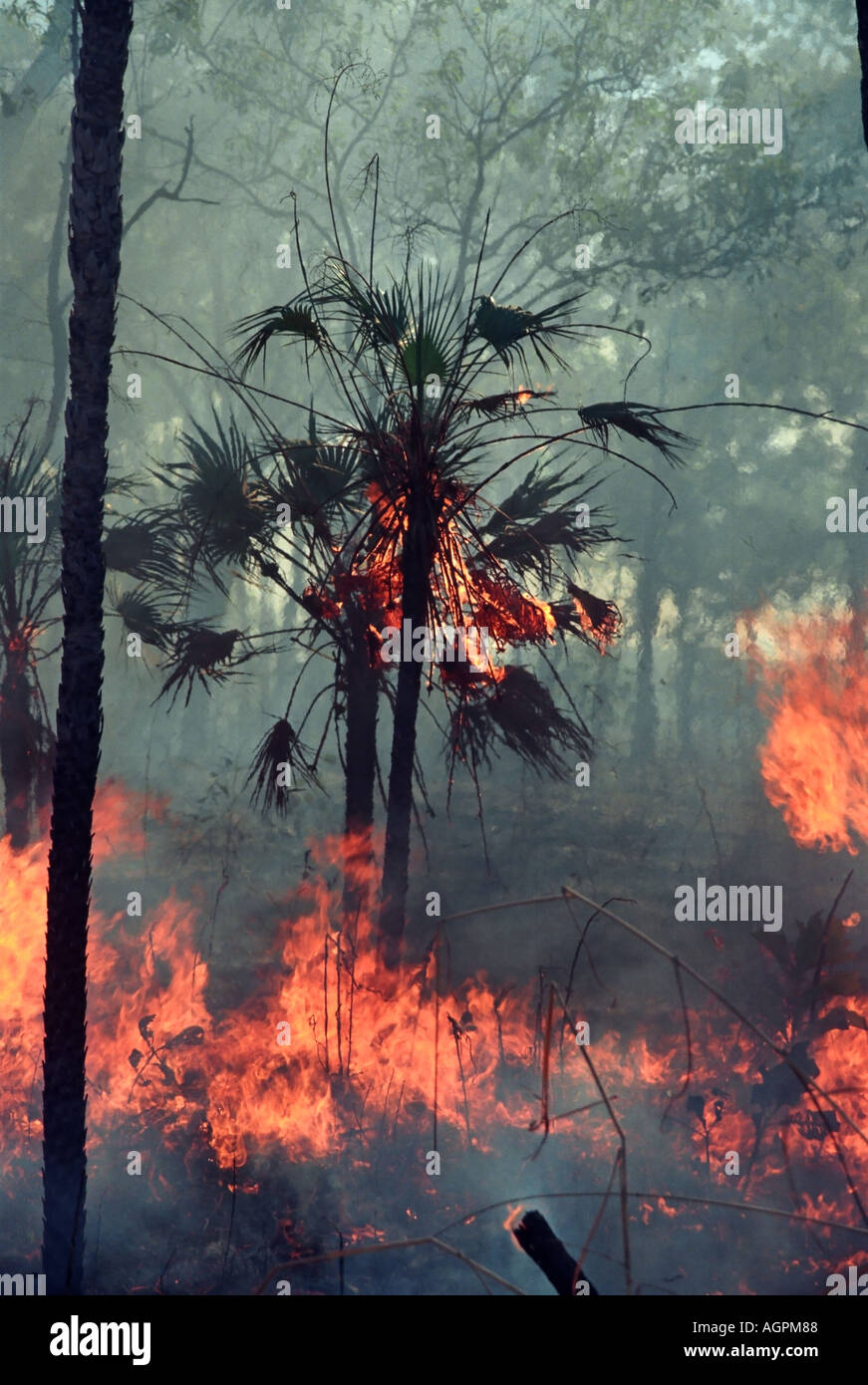 Bushfire Northern Territory Australia Stock Photo - Alamy