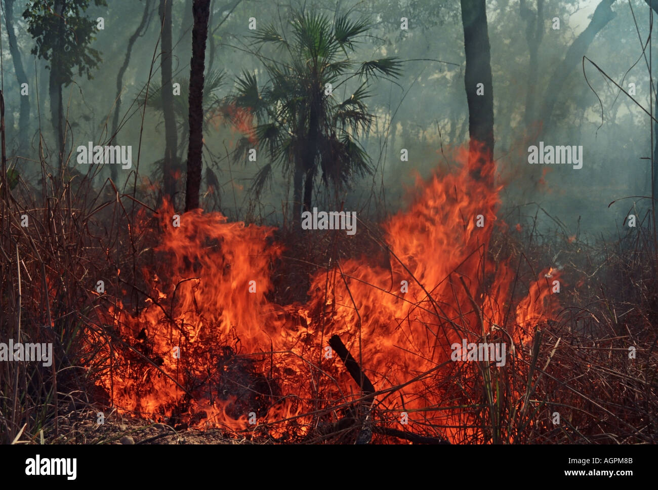 Bushfire Northern Territory Australia Stock Photo - Alamy