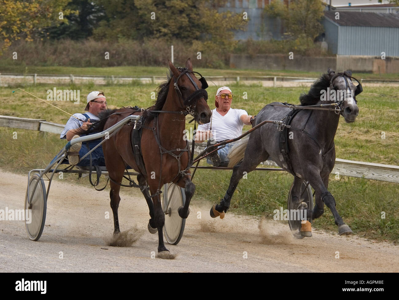 Training Harness Racers Corydon Indiana Stock Photo - Alamy