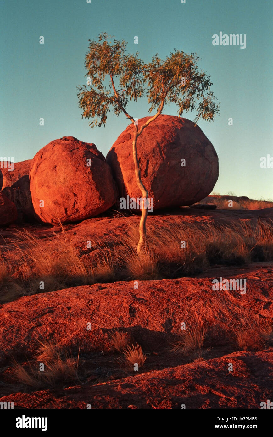 Devils Marbles Conservation Reserve rock formation NT Aussie Oz NT38 24 ...