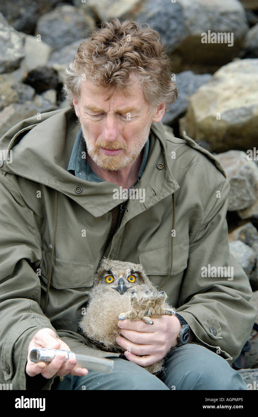 Owl research hi-res stock photography and images - Alamy