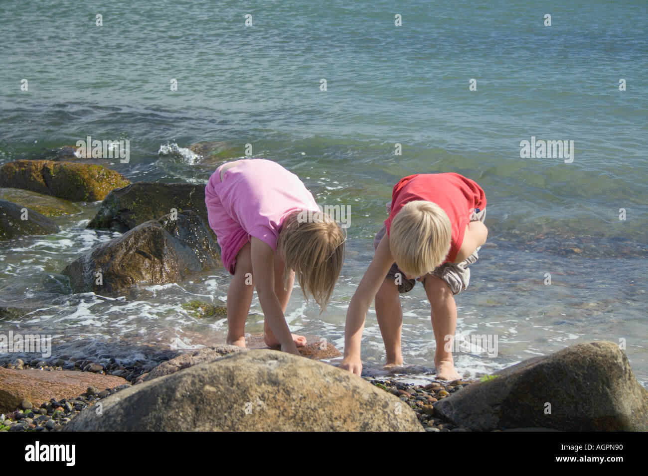 Searching rock pool hi-res stock photography and images - Alamy