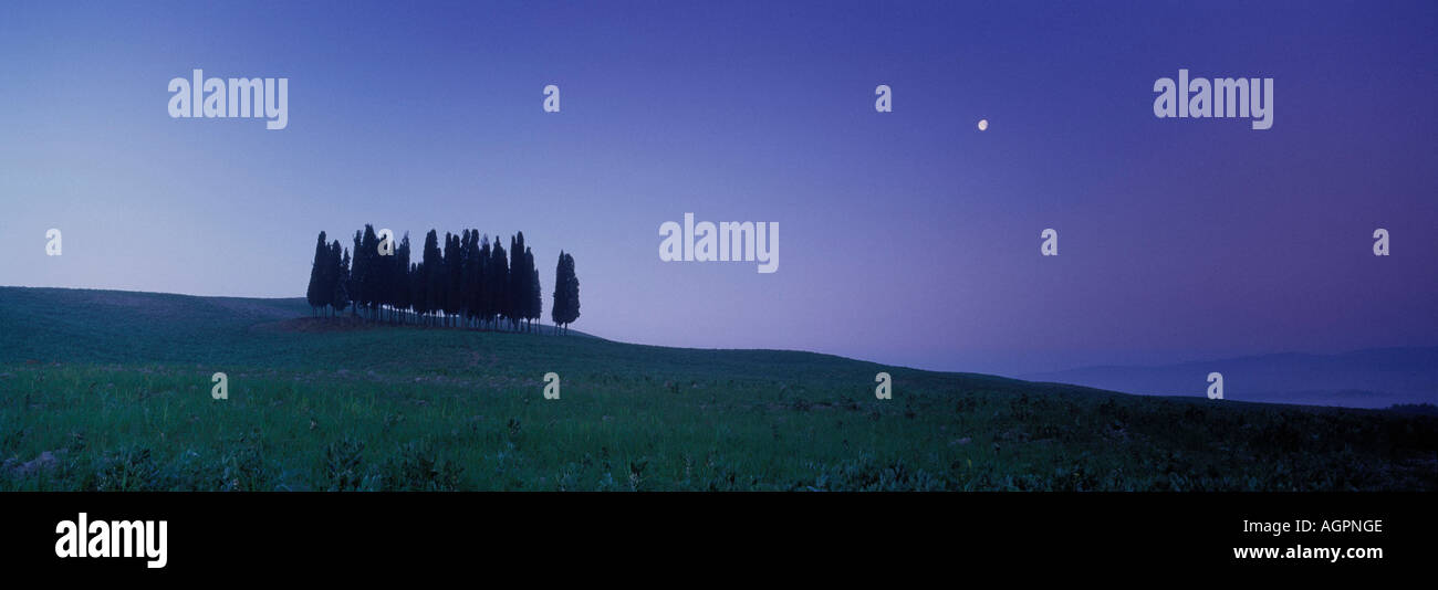 Cypress trees moon hi-res stock photography and images - Alamy
