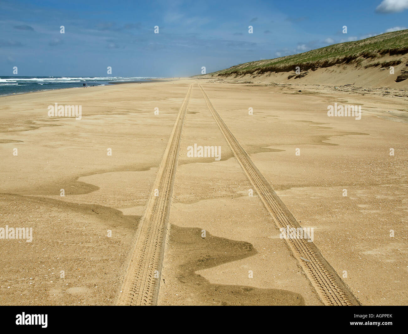 Tracks on sand on a beach Stock Photo - Alamy