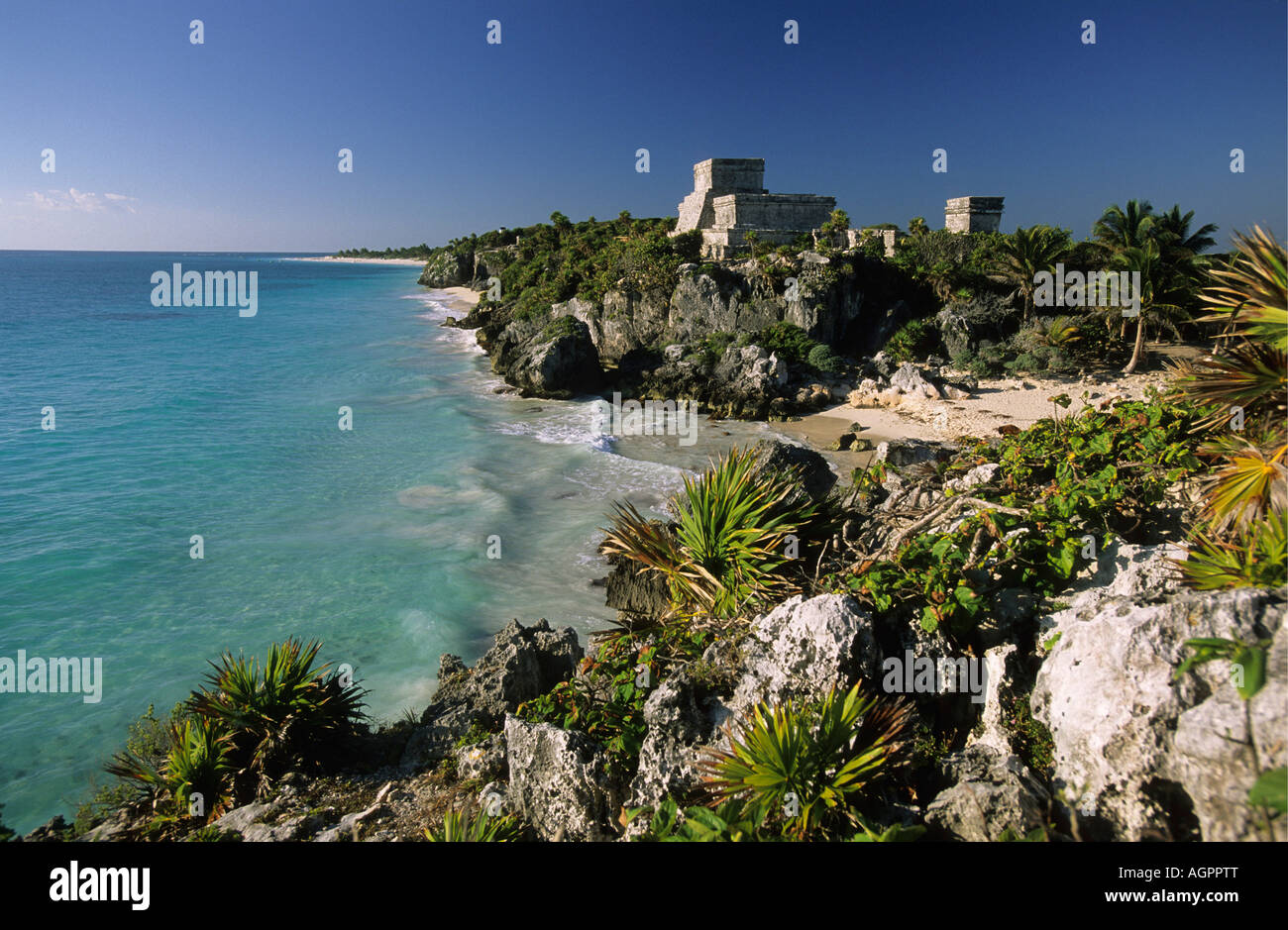 Mexico Tulum Maya ruins at beach of Caribbean Sea Stock Photo - Alamy
