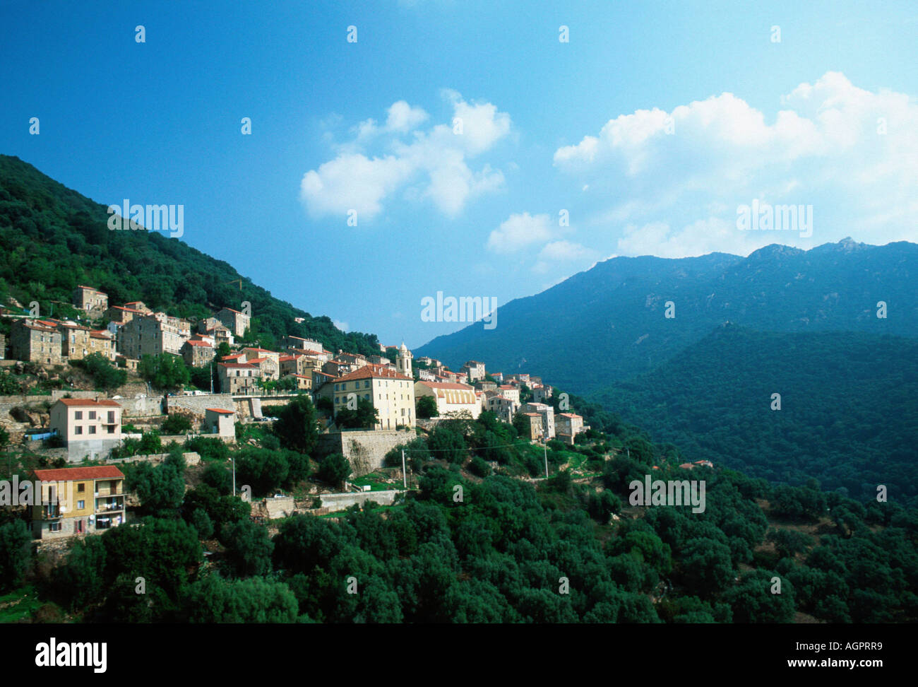 Olmeto hi-res stock photography and images - Alamy