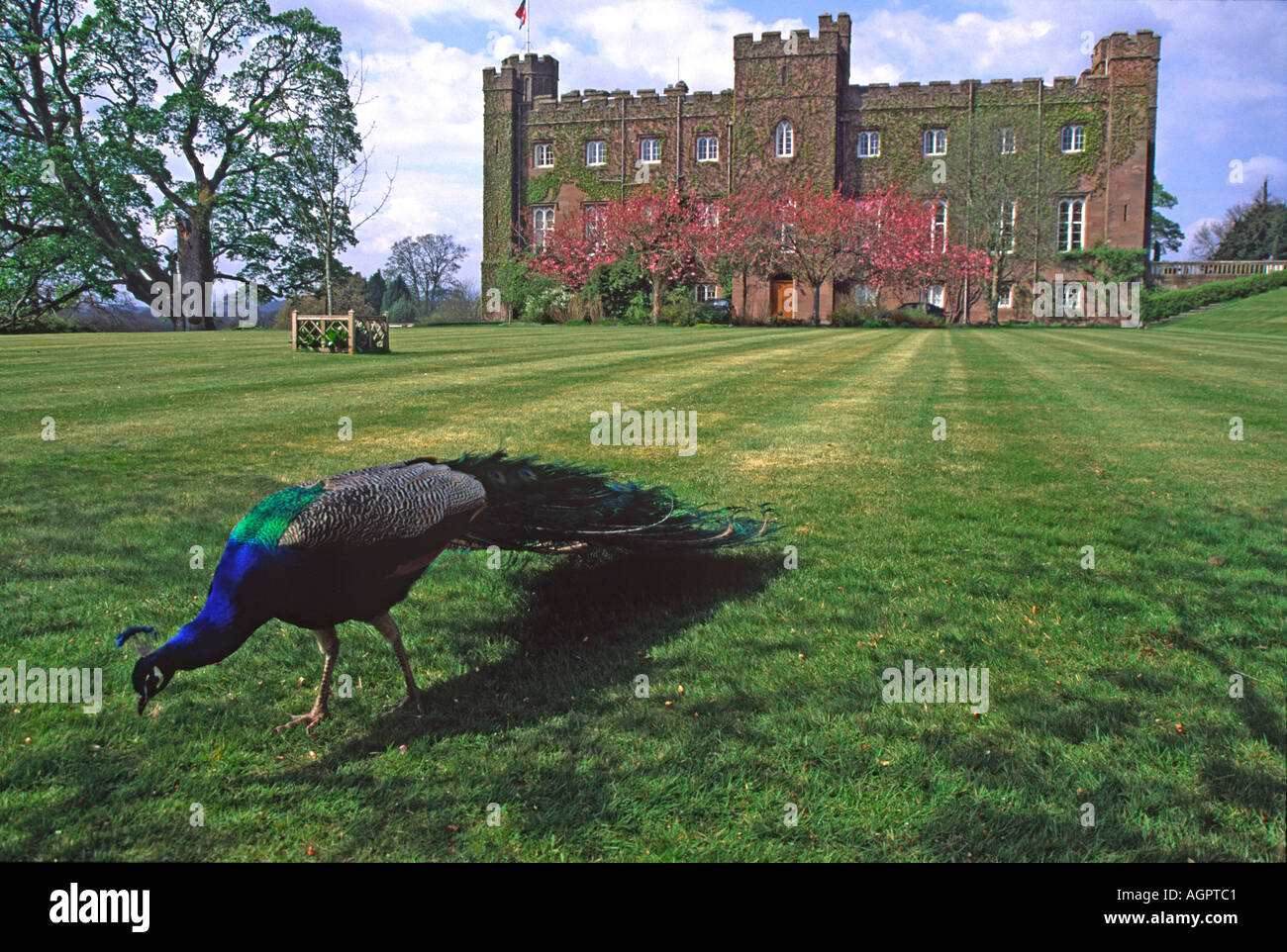 Scone Palace Perth Scotland Stock Photo - Alamy