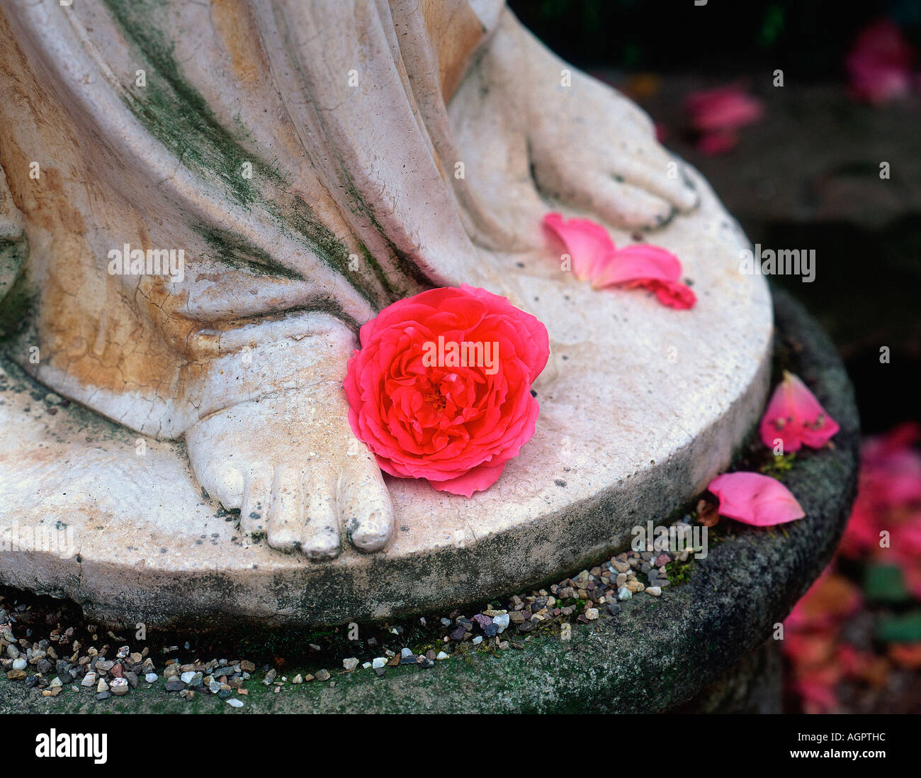 Rose statues hi-res stock photography and images - Alamy