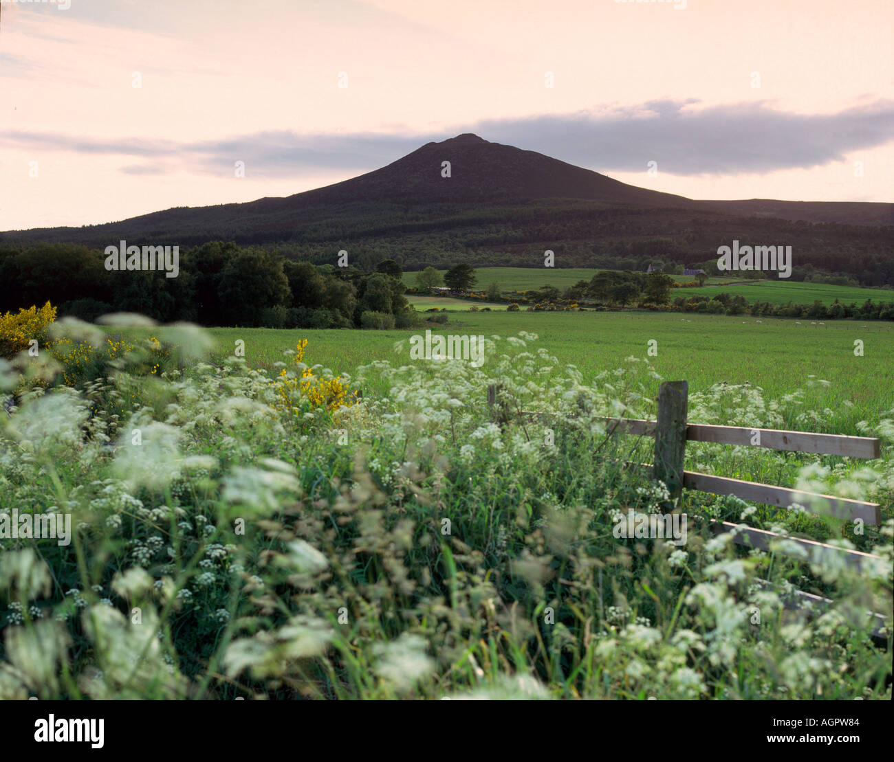 Bennachie mountain Aberdeenshire Scotland Stock Photo - Alamy