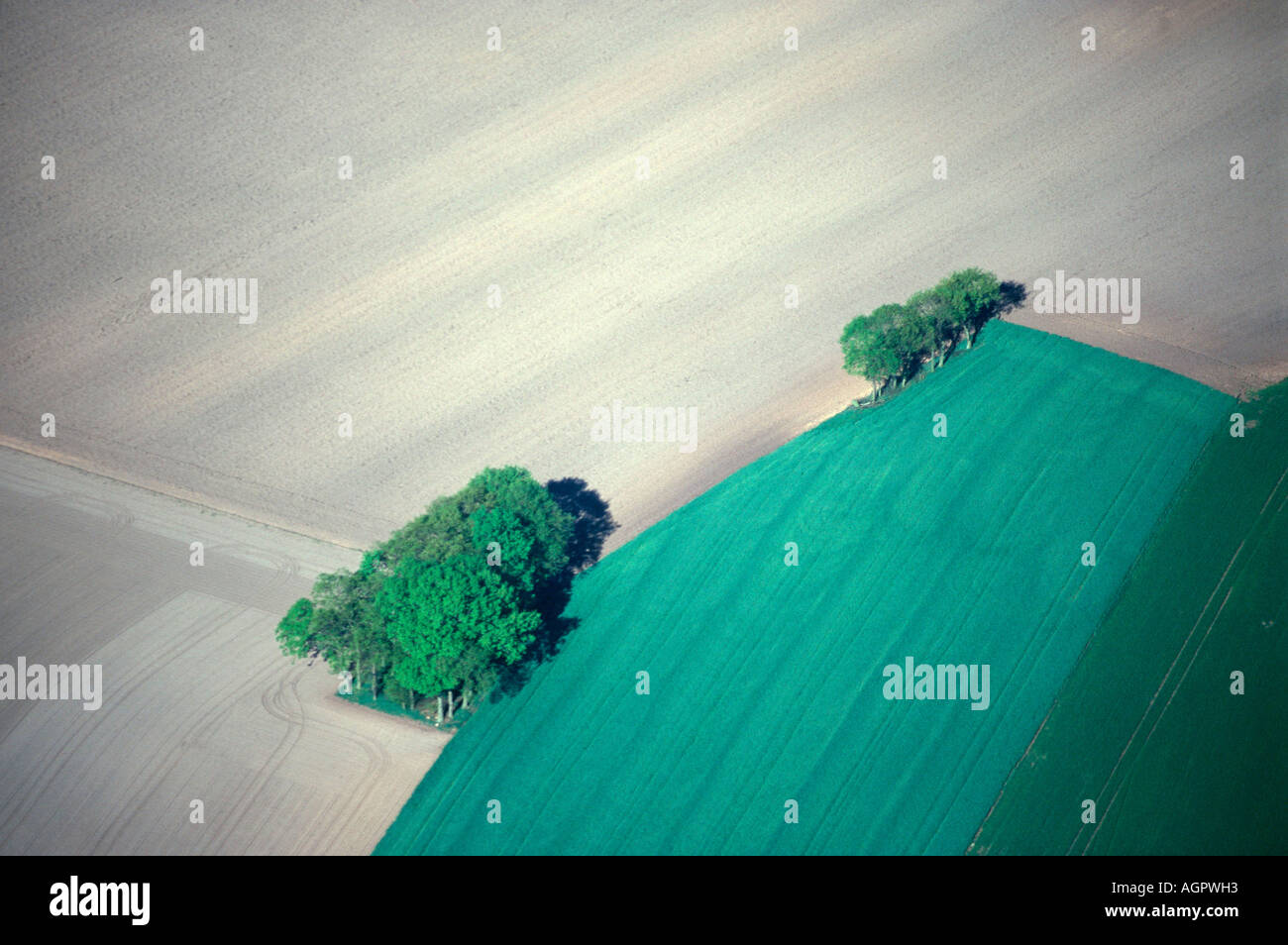 Baum group hi-res stock photography and images - Alamy