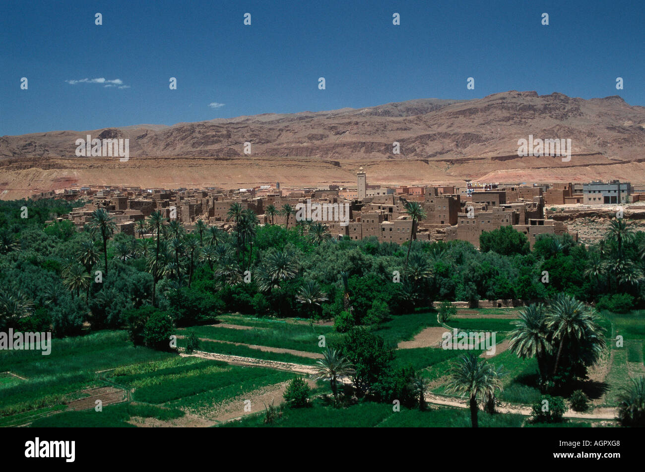 Oasis geography hi-res stock photography and images - Alamy