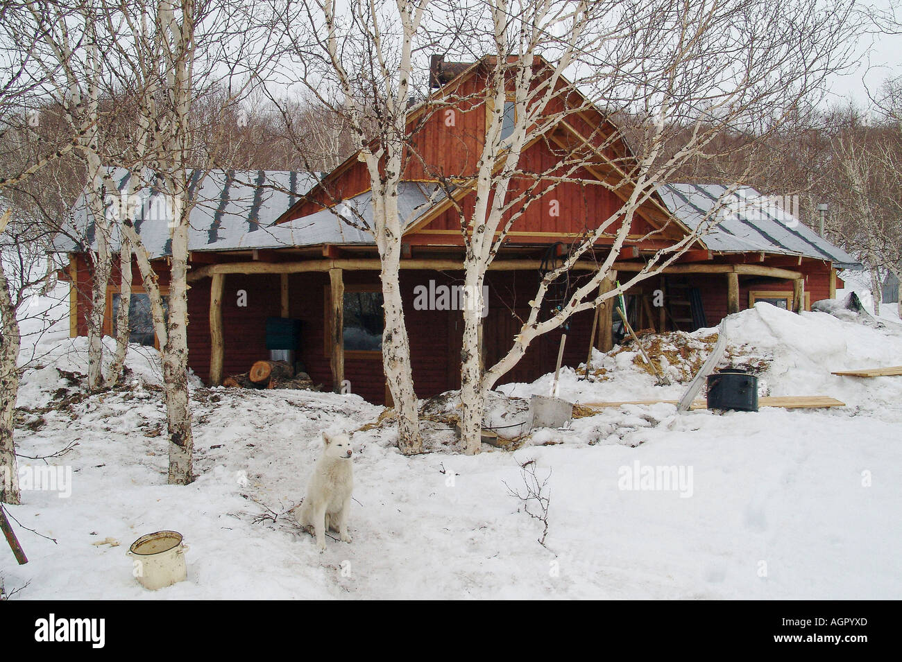 Log cabin lake russia hi-res stock photography and images - Alamy